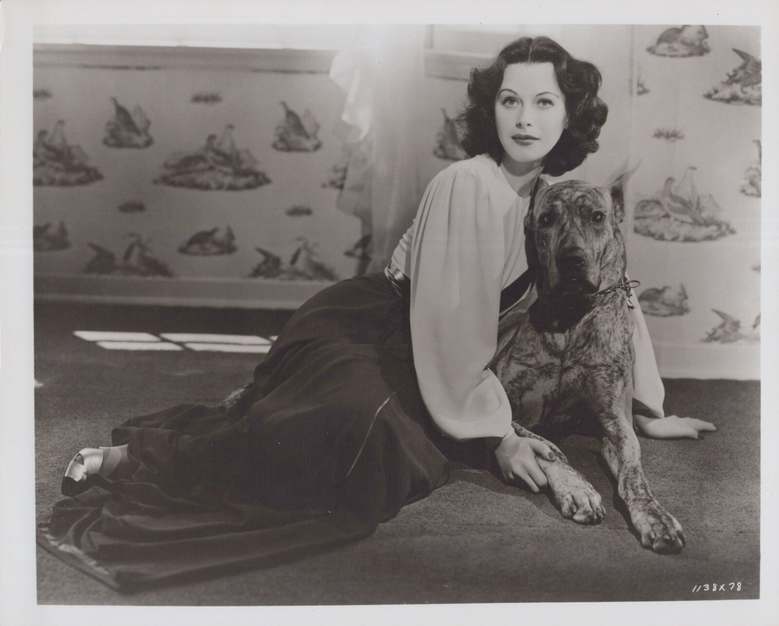 HOLLYWOOD BEAUTY HEDY LAMARR + CLARK GABLE STUNNING PORTRAIT 1970s ...