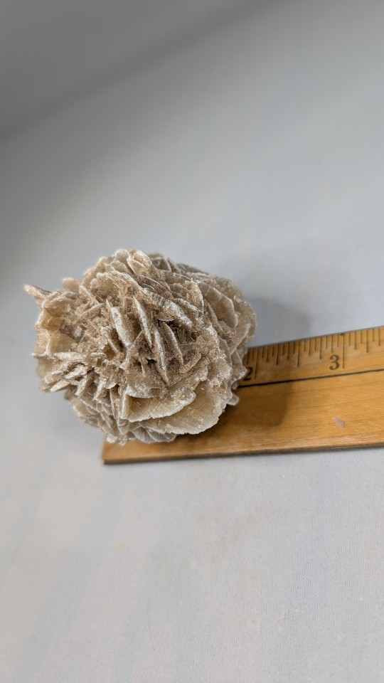 Estate Sale From Famous Race Car Driver And Rockhound, Desert Rose | eBay