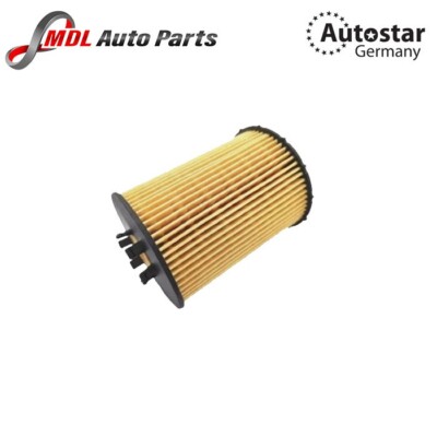 Autostar Germany Oil Filter For BMW E60 E63 E65 E70 11427542021 | eBay