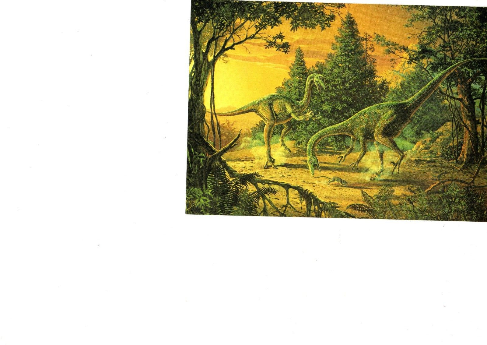 Saurornithoides Dinosaur Reproduction Large Postcard - //WE ARE RACESPOT