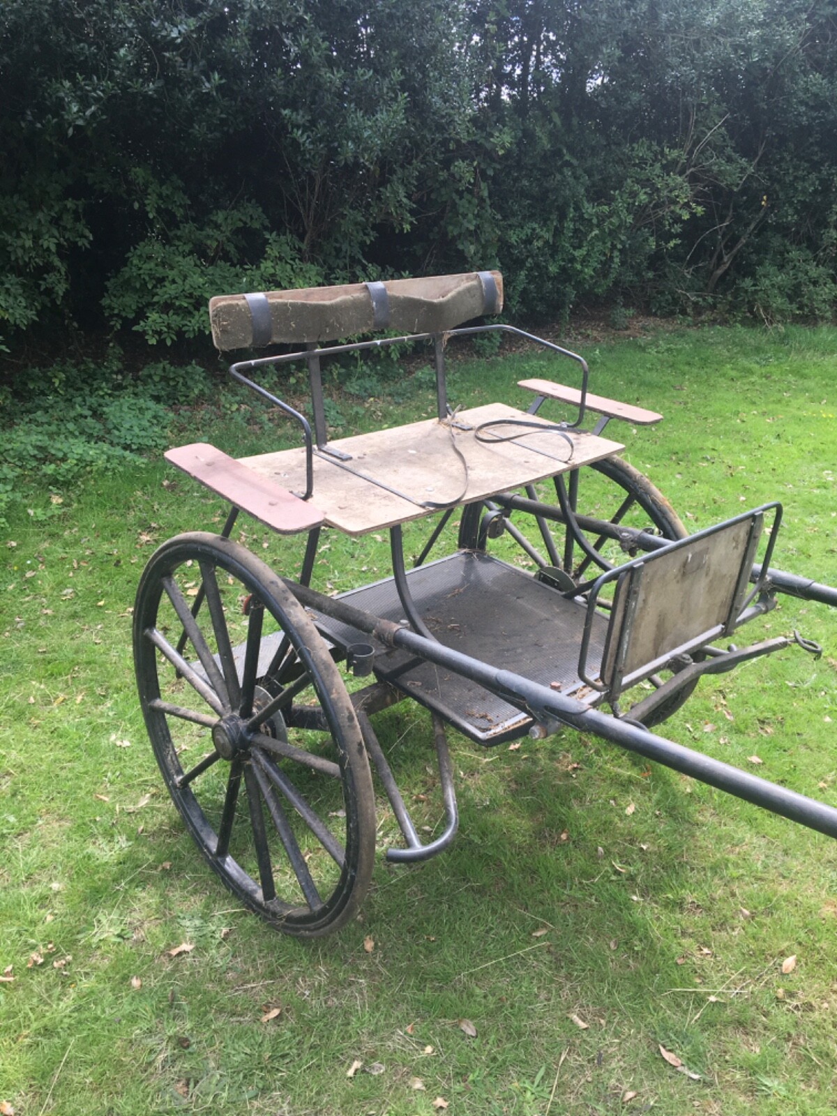 2wheeled exercised/marathon cart | eBay UK