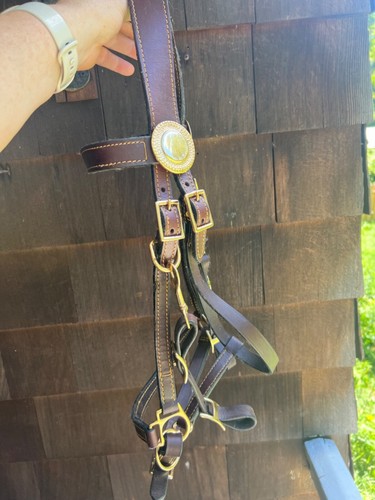 Australian Brown Aussie Leather Bridle/Halter Combination | eBay