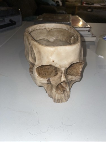 Modern Large Funny Resin Skull Shaped Head Design Flower Pot Planter ...