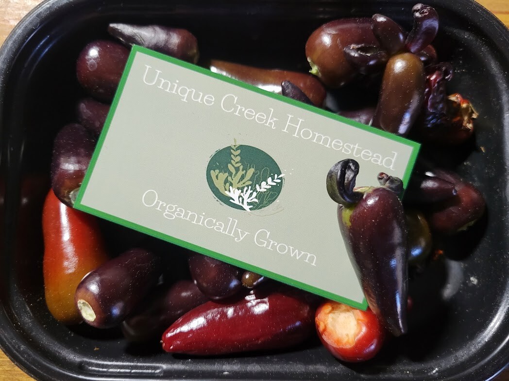 COUNT DRACULA Pepper Seeds 25,000-50,000 Scoville SHU Vampire HOT Chili ...