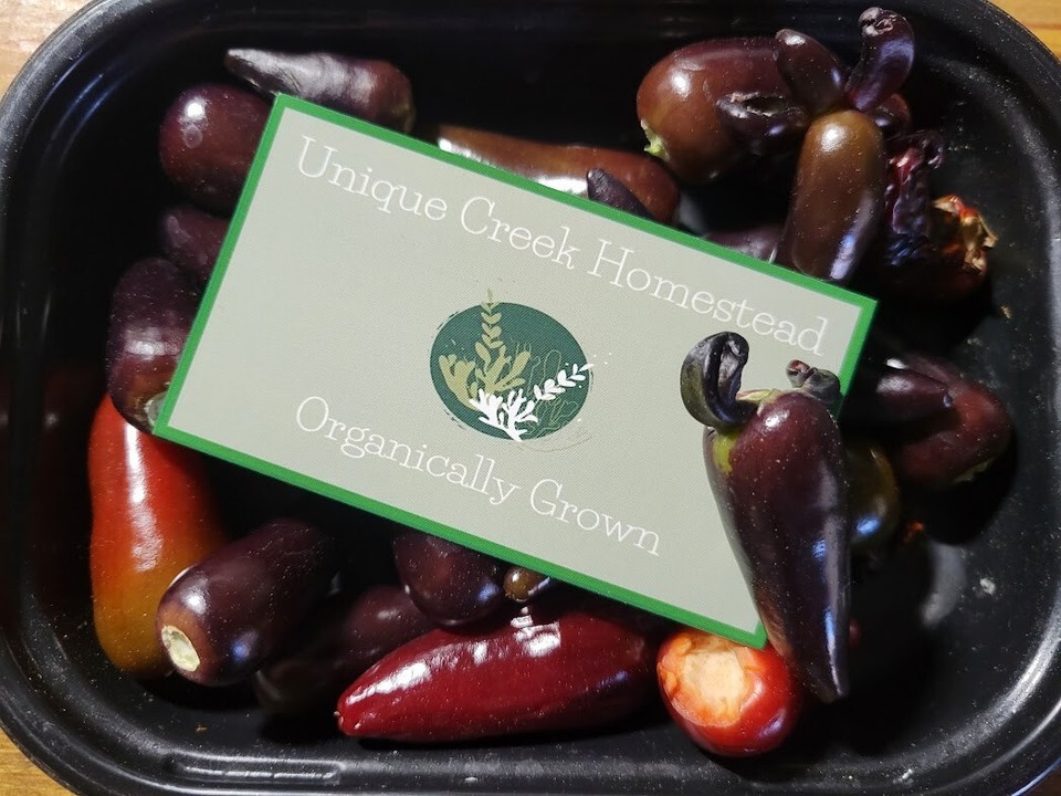 COUNT DRACULA Pepper Seeds 25,000-50,000 Scoville SHU Vampire HOT Chili ...