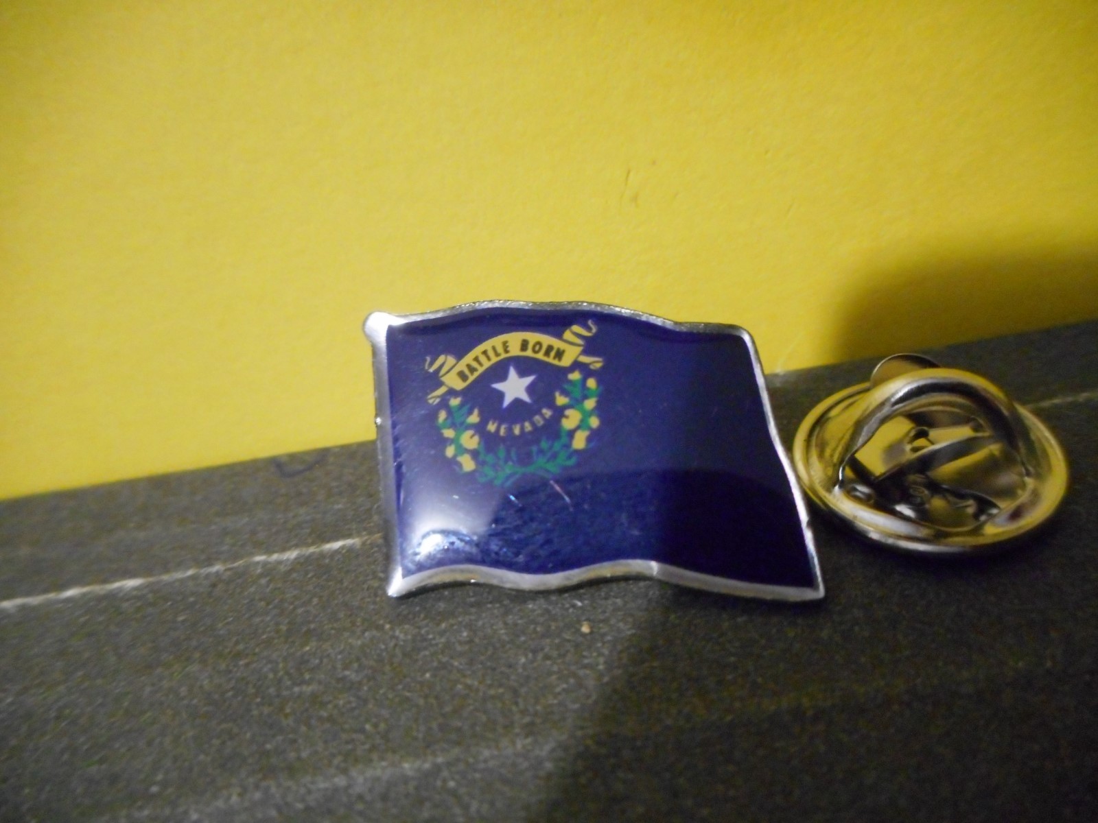 The U.S. State of Nevada Lapel Pin | eBay