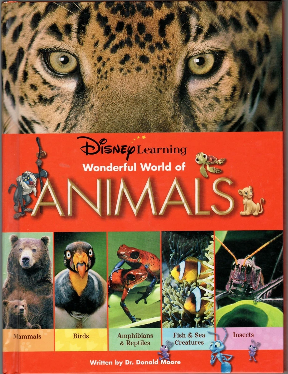 Disney Animals In Real Life