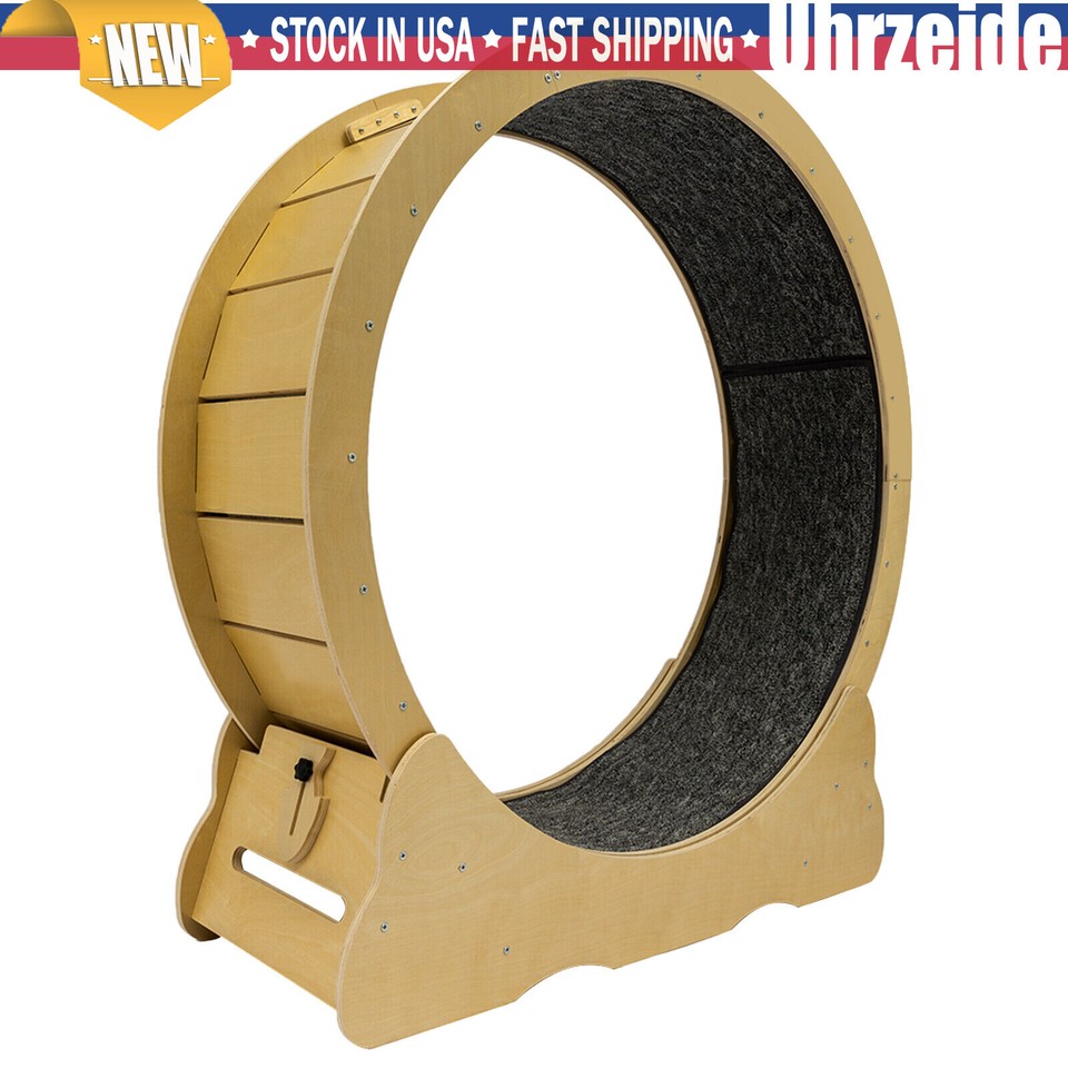 Cat Wheel, Cat Exercise Wheel, Cat Exercise Wheel for Indoor Cats | eBay