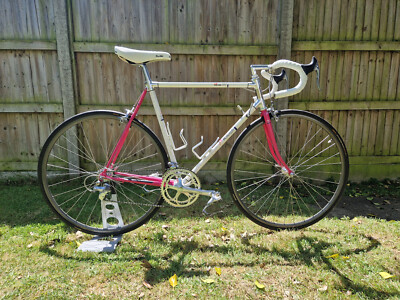 Raleigh Dynatech 700 | eBay UK