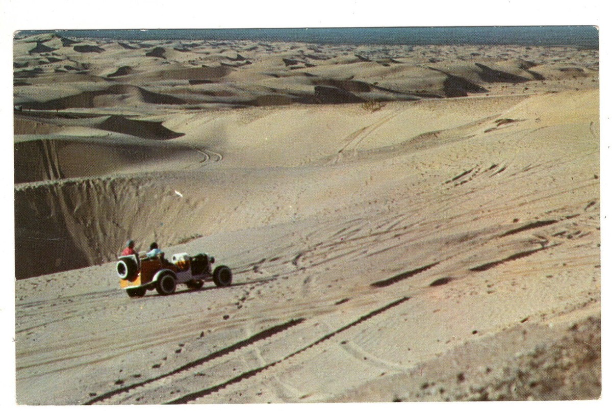 Dune Buggy Oregon Coast Florence Grant's Getaways: Dune Riders