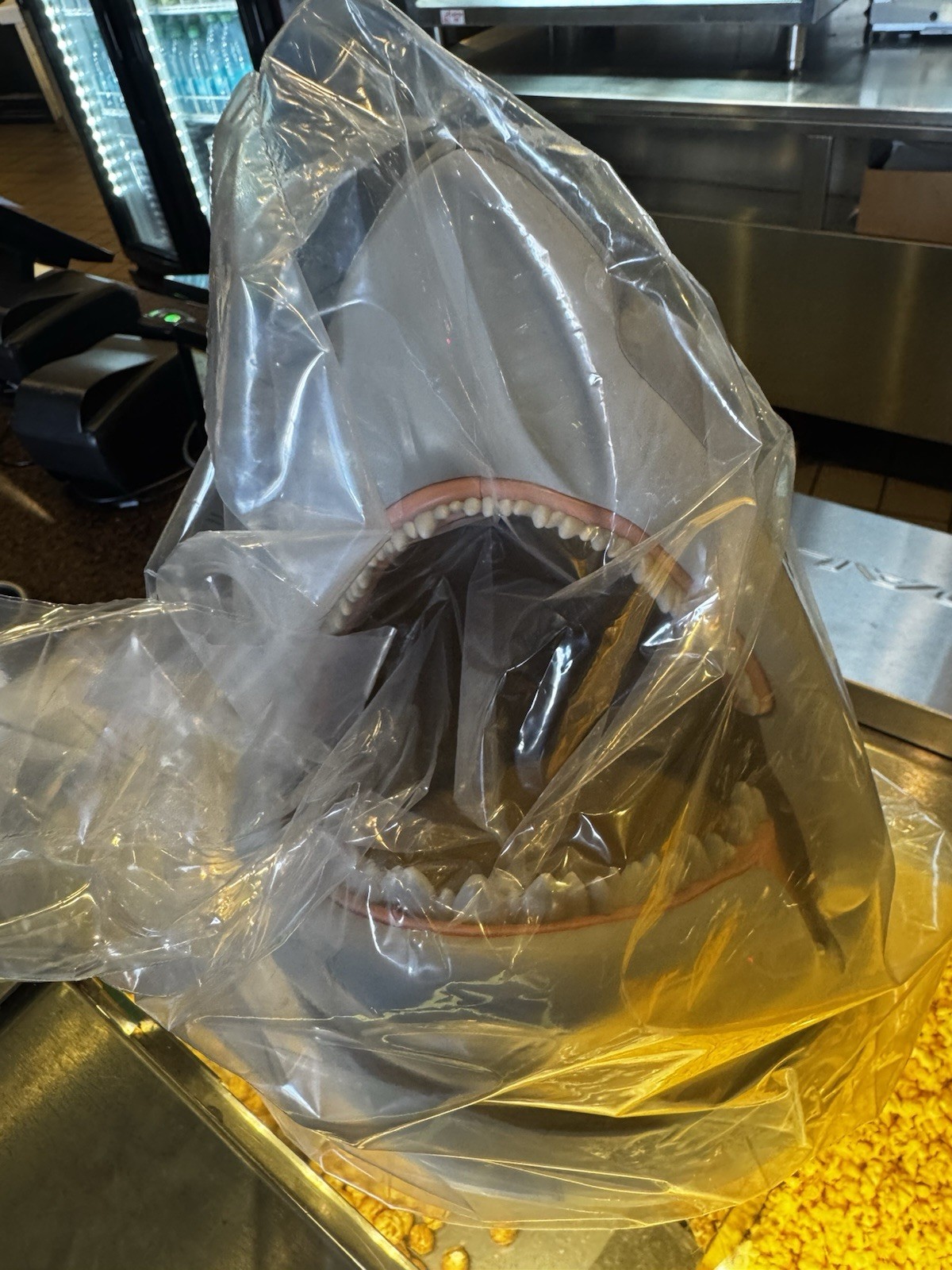 JAWS 50th Anniversary Popcorn Bucket - AMC On Hand. | eBay