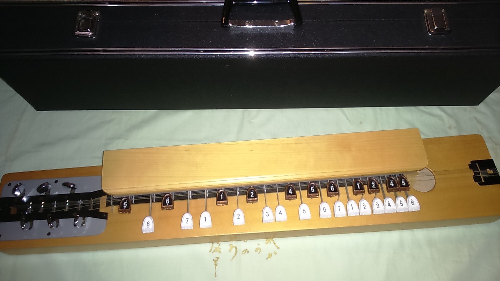 Naturally Beautiful Acoustic Taisho Koto (Taishogoto) with Hard Case | eBay