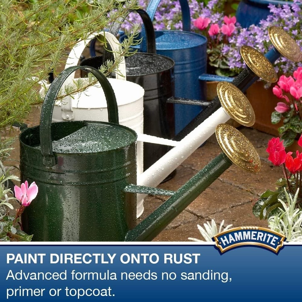 Hammerite Kurust Rust Killer Converts Rusty Metal One Coat Rust ...