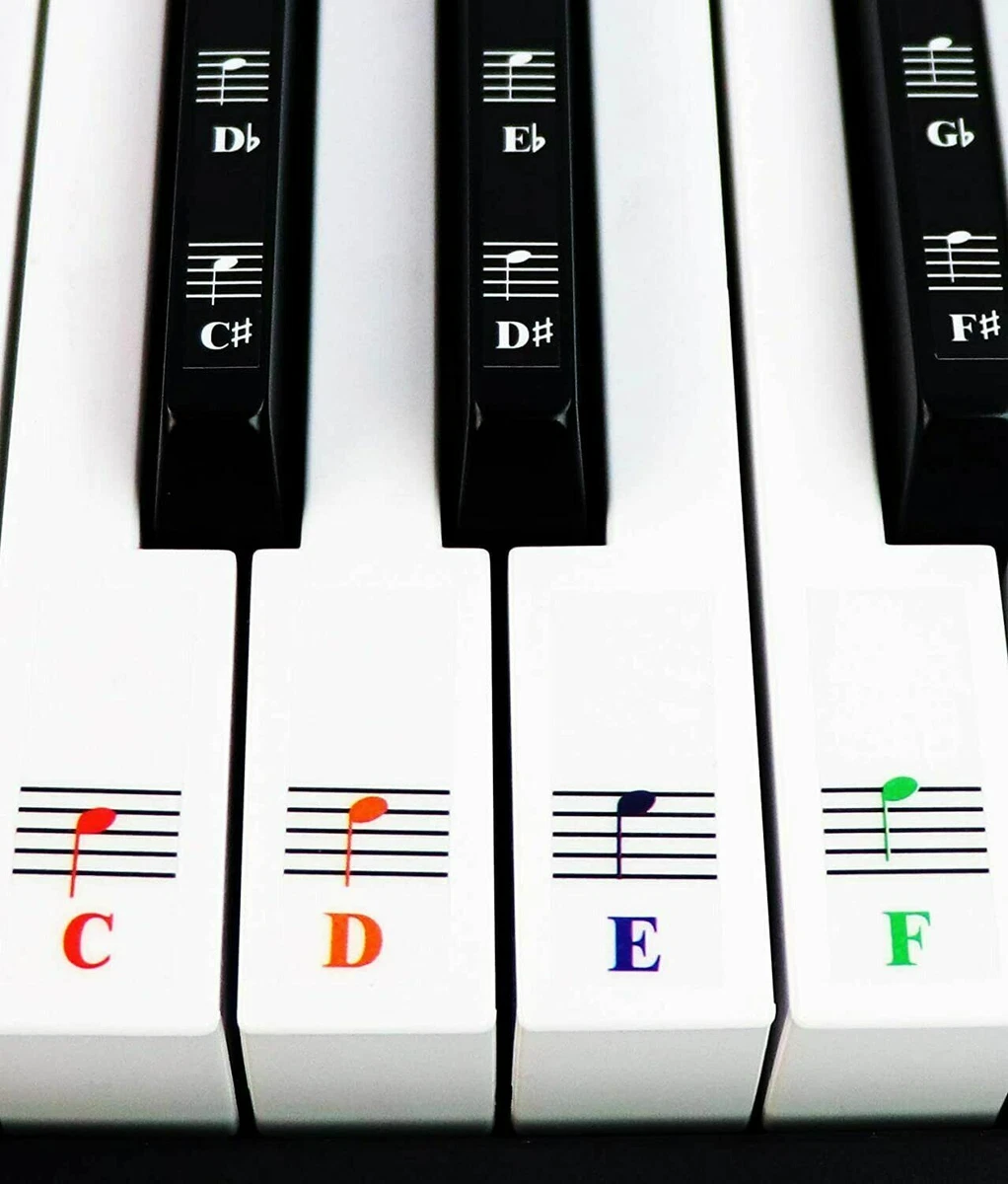 Colorful Piano Keyboard