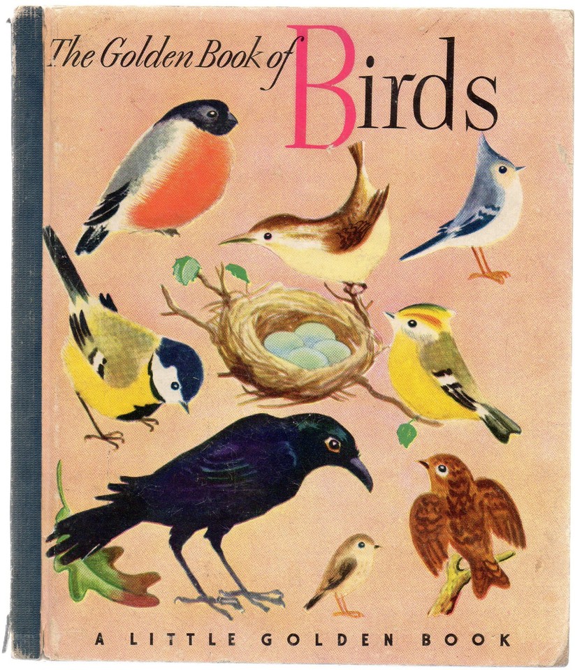 3 LITTLE GOLDEN BOOKS 1st ed, 1st print LIVELY LITTLE RABBIT,DAY IN ...