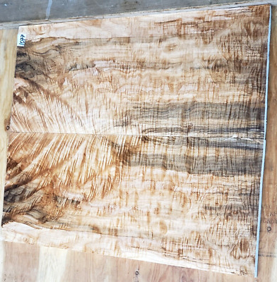 Figured Flame Spalted Maple Wild Wood 1077 Guitar Top Set 21.5x 19 x ...