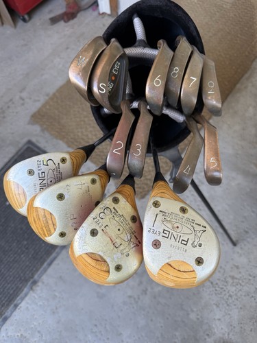 Ping Beryllium Copper Irons Eye 2 & Ping Eye 2 Wood Drivers | eBay