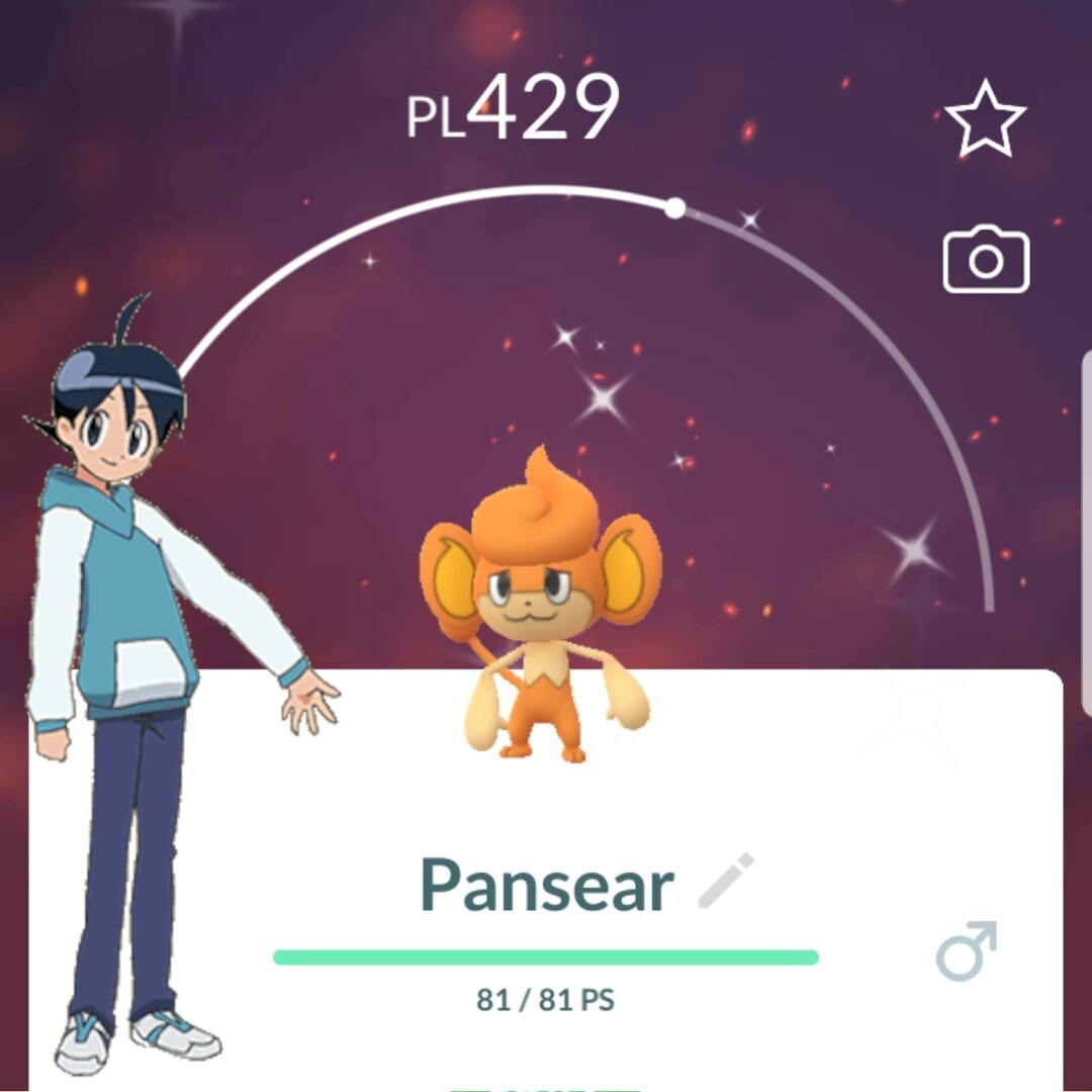 Pansear Shiny FULL ODDS Shiny Pansear | Shiny Pokemon Amino Amino