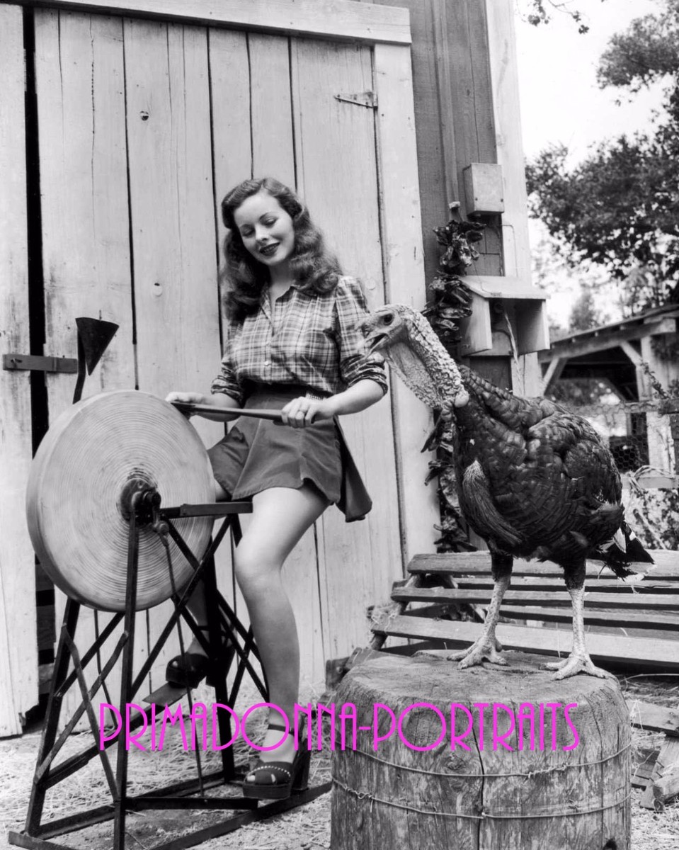 Jeanne Crain Vintage 1940s Leggy Cheesecake Photo MARILYN MONROE