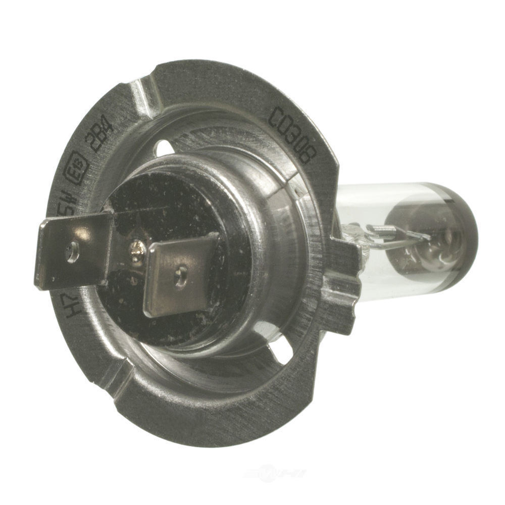 Multi-Purpose Light Bulb Champion Lighting 1255H7 for sale online | eBay