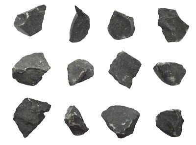 12PK Raw Basalt Rock Specimens, 1" - Geologist Selected Samples - Eisco ...