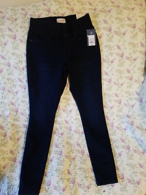 Universal Thread High Rise Pull-on Jeggings NWT Size o 25 waist reg. | eBay