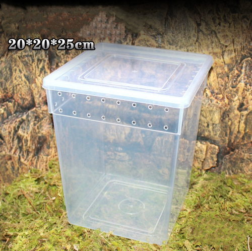 Praying mantis Stick Insect Arboreal cages Feeding Box Enclosure SIDE ...