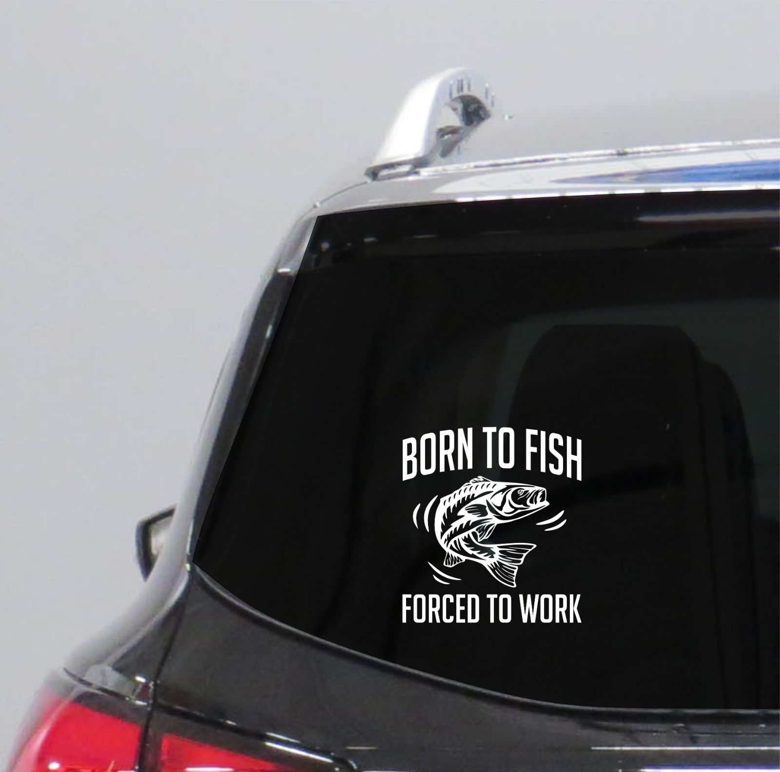 Born to Fish Vinyl Decal Sticker Car Truck RV Window Tablet Laptop SUV ...