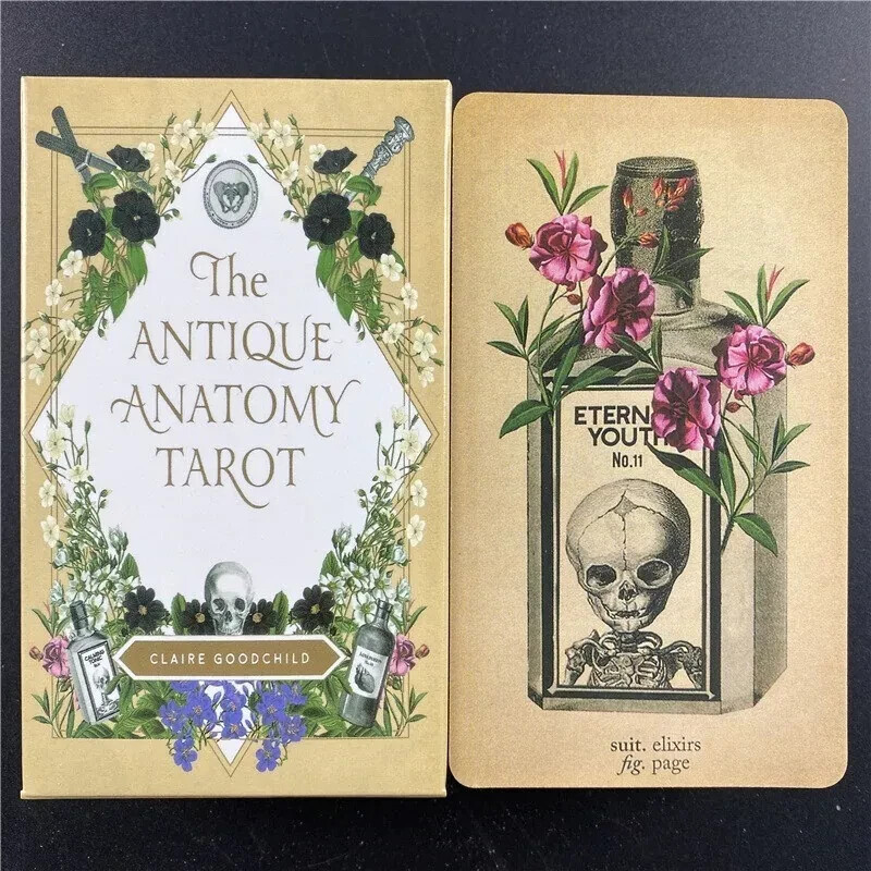Antique Anatomy Tarot Deck 78 Cards Vintage Collectible Divination ...
