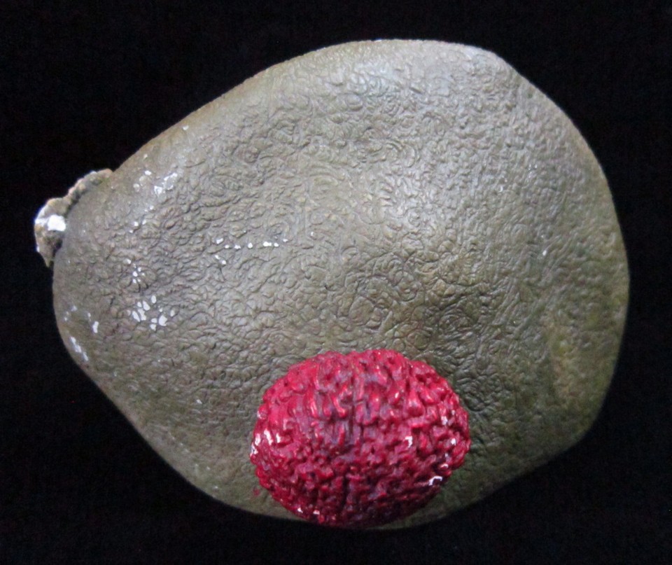 Vintage Bossons Chalkware Head "JOCK" the Scotsman ©1969 Great Britain ...