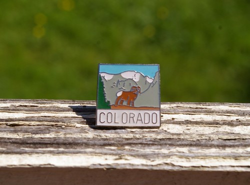 Colorado CO State Mountain Ram Lapel Pin Pinback Silver Tone Metal | eBay