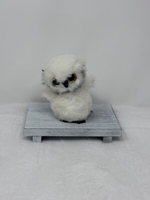 Ty Beanie Boos AUSTIN the Owl 6" Beanbag Plush Toy w/ Glitter Eyes | eBay