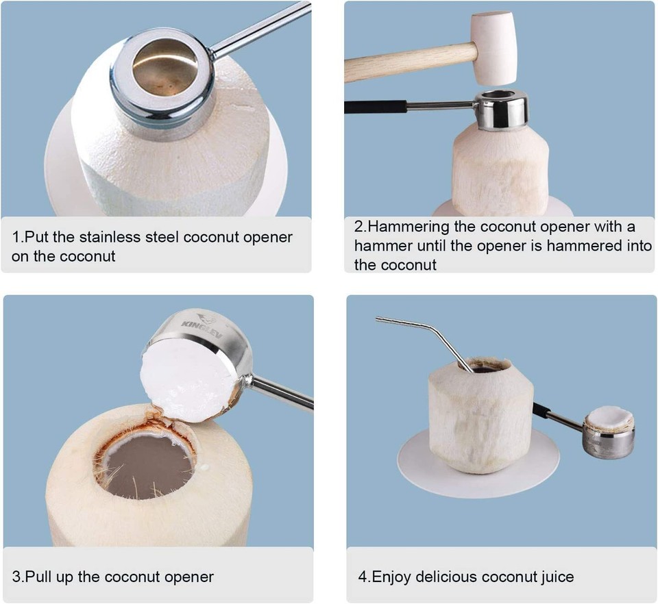 Coconut Opener Tool Set For Young Kit W Hammer Food Safe Stainless ...