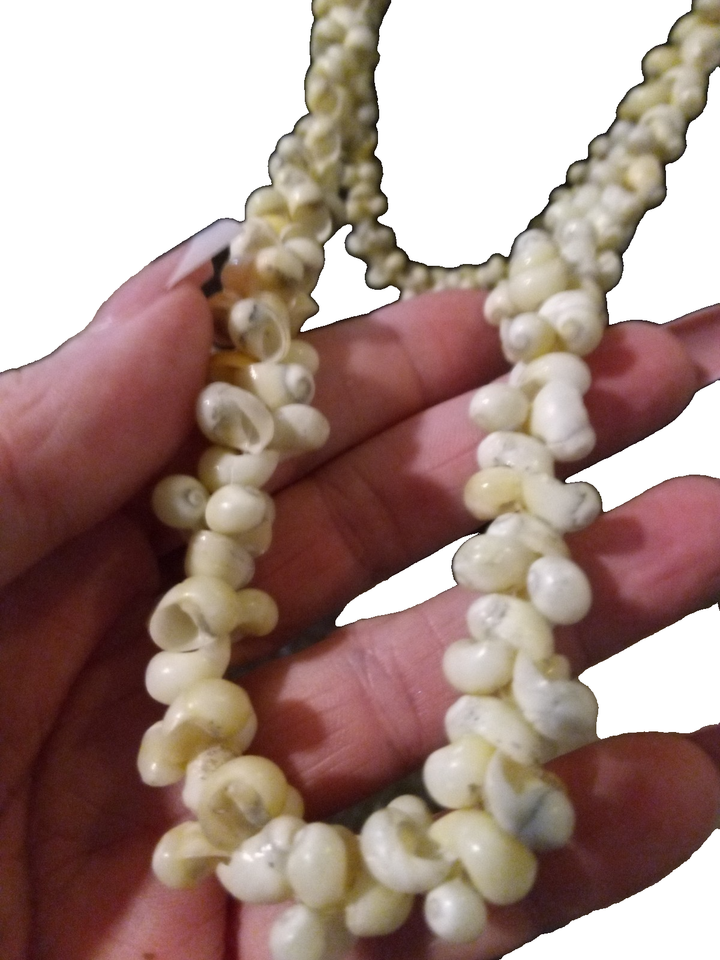 Huge Single-Strand Ni'ihau Shell Lei: 72" Shell Closure | eBay