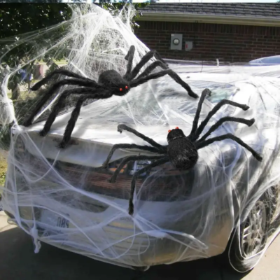 Giant Spider Web Between Cars