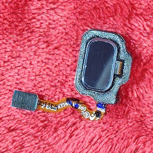 OEM Samsung Galaxy S8+ Gray Fingerprint Sensor Flex Cable Part ...