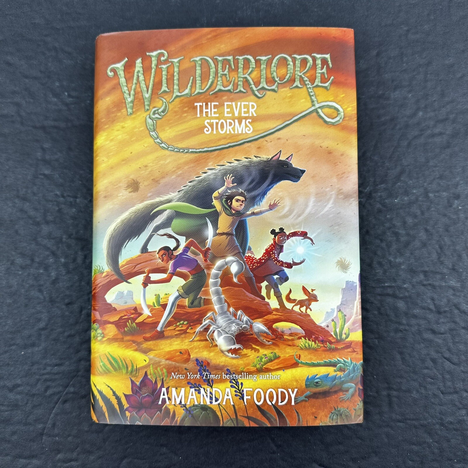Wilderlore: The Ever Storms Book 3 - Hardcover- Amanda Foody ...