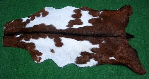 GOAT Western taxidermy Hide Rug Natural Pattern Fur Goat Hide Rode SA ...