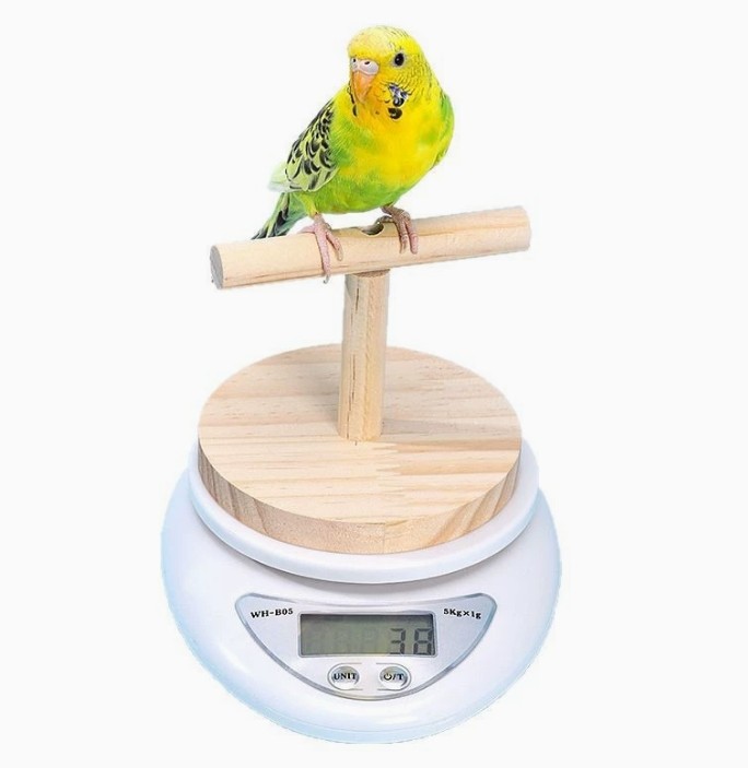 Pet Bird Scale Small Animal Scale With Perch High Accuracy Digital ...