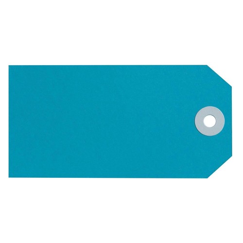 Avery 18120 Blue Manilla Shipping Tags 160mm x 80mm Reinforced 1000/Pk ...
