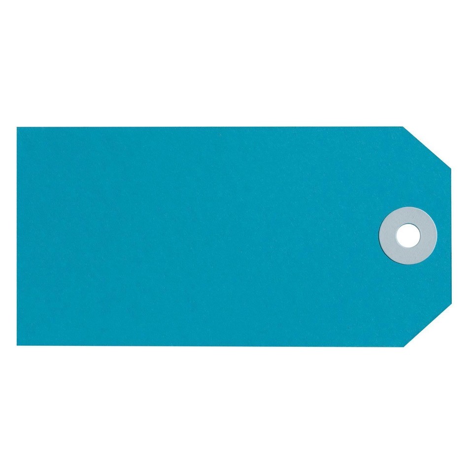 Avery 18120 Blue Manilla Shipping Tags 160mm x 80mm Reinforced 1000/Pk ...