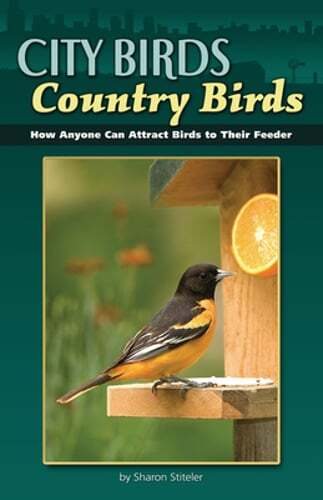 City Birds, Country Birds: How Anyone Can Attract Birds to Their Feeder ...