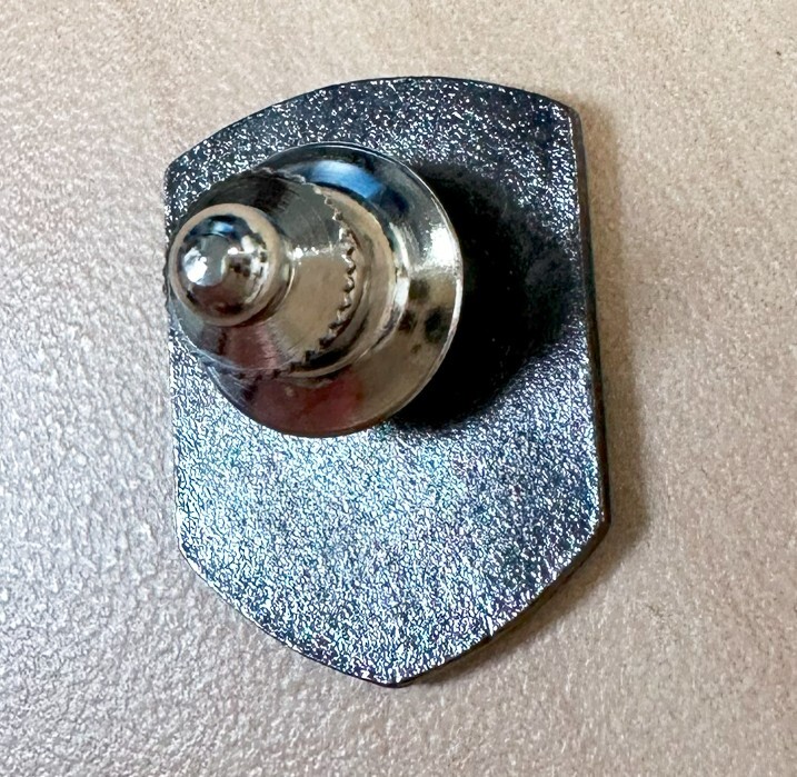 CAL FIRE / CDF Badge Pin – NEW (California Department of Forestry) | eBay