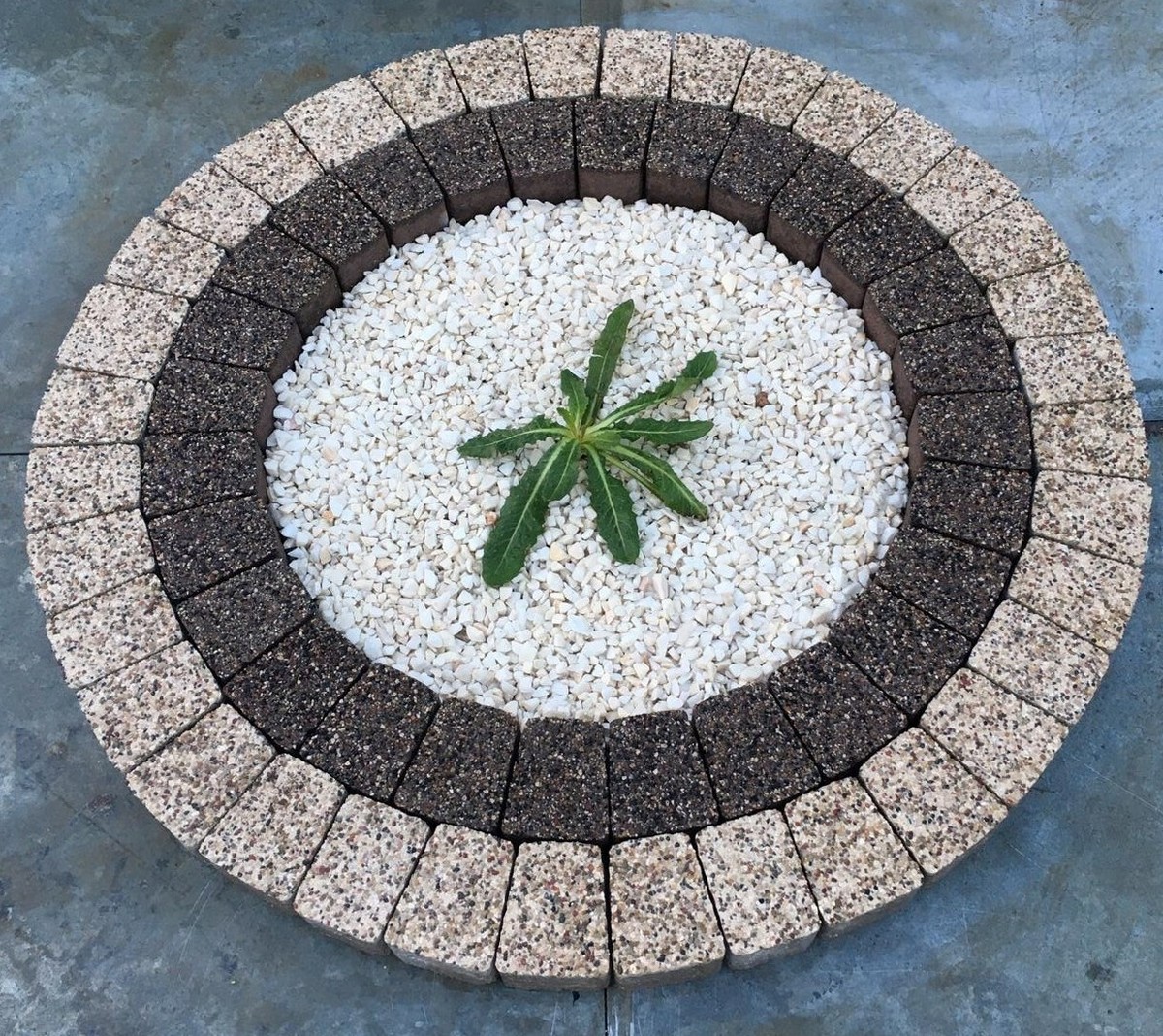 Paver Circle Around Tree Got Lots Of Pavers Laid Today!! This
