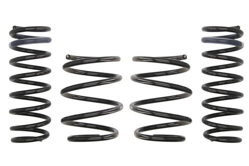 Lowering spring EIBACH E10-20-012-04-22 | eBay Australia