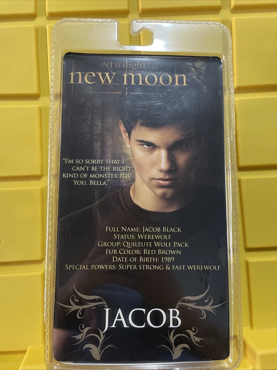 Twilight Wolf Pack Names And Colors