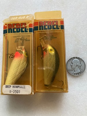 Rebel - Rebel Deep Diver