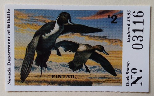Nevada State Duck Stamp, 1984, sc#NV6, Mint, Never Hinged, OG | eBay