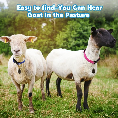 Goat Collars with Bell, 3 Pack Adjustable Sheep Collars with Quick ...