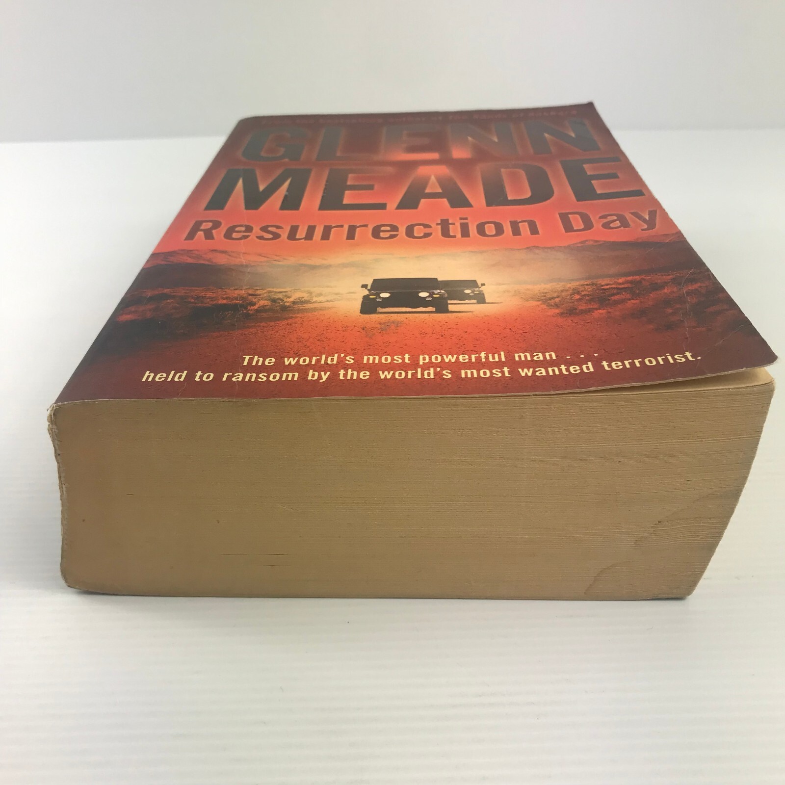 Resurrection Day by Glenn Meade Large Paperback Book Suspense Thriller ...